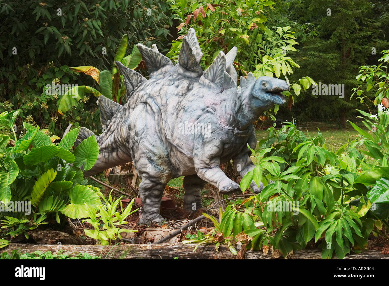 Stegosaurus hi-res stock photography and images - Alamy