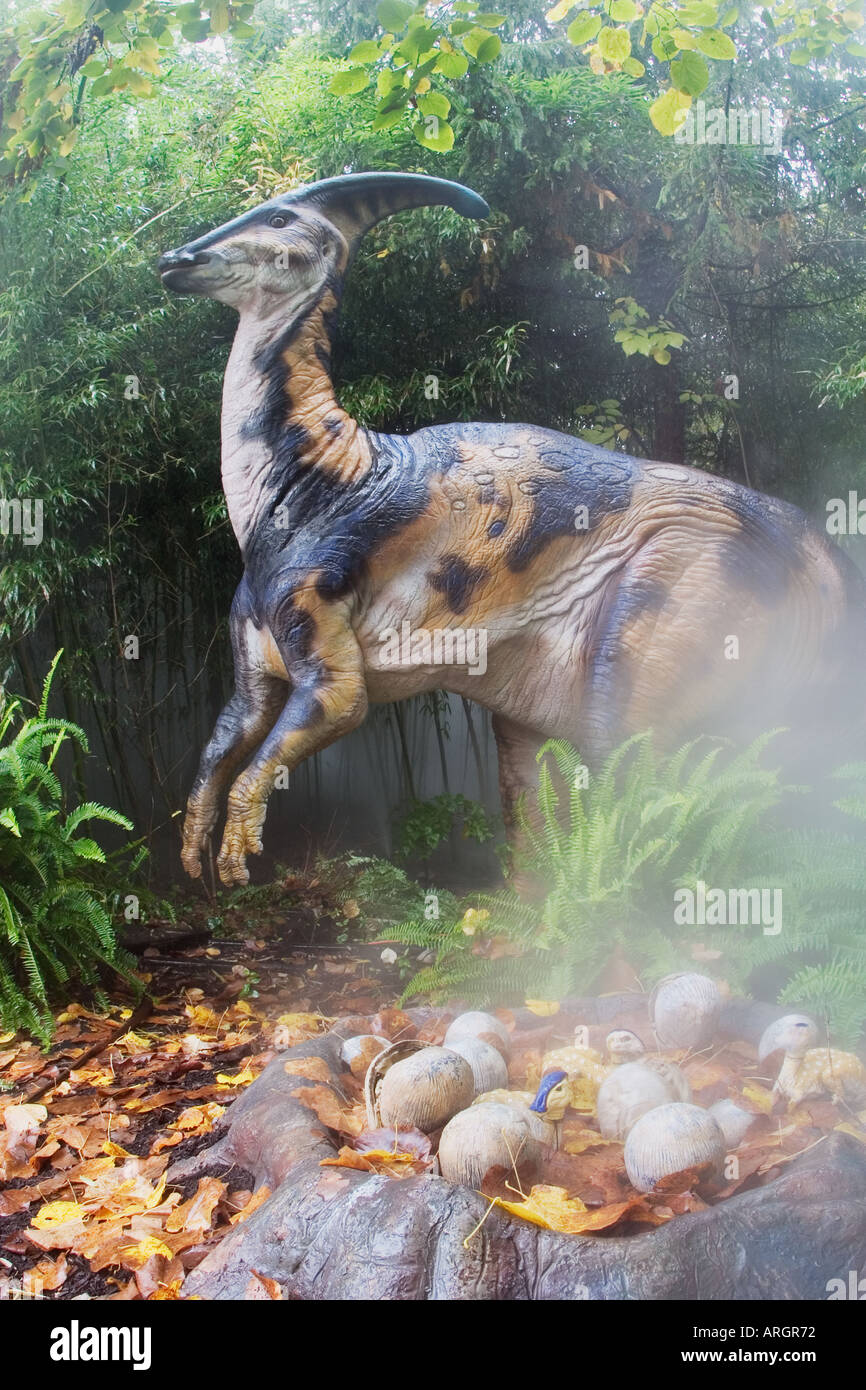 Parasaurolophus hi-res stock photography and images - Alamy