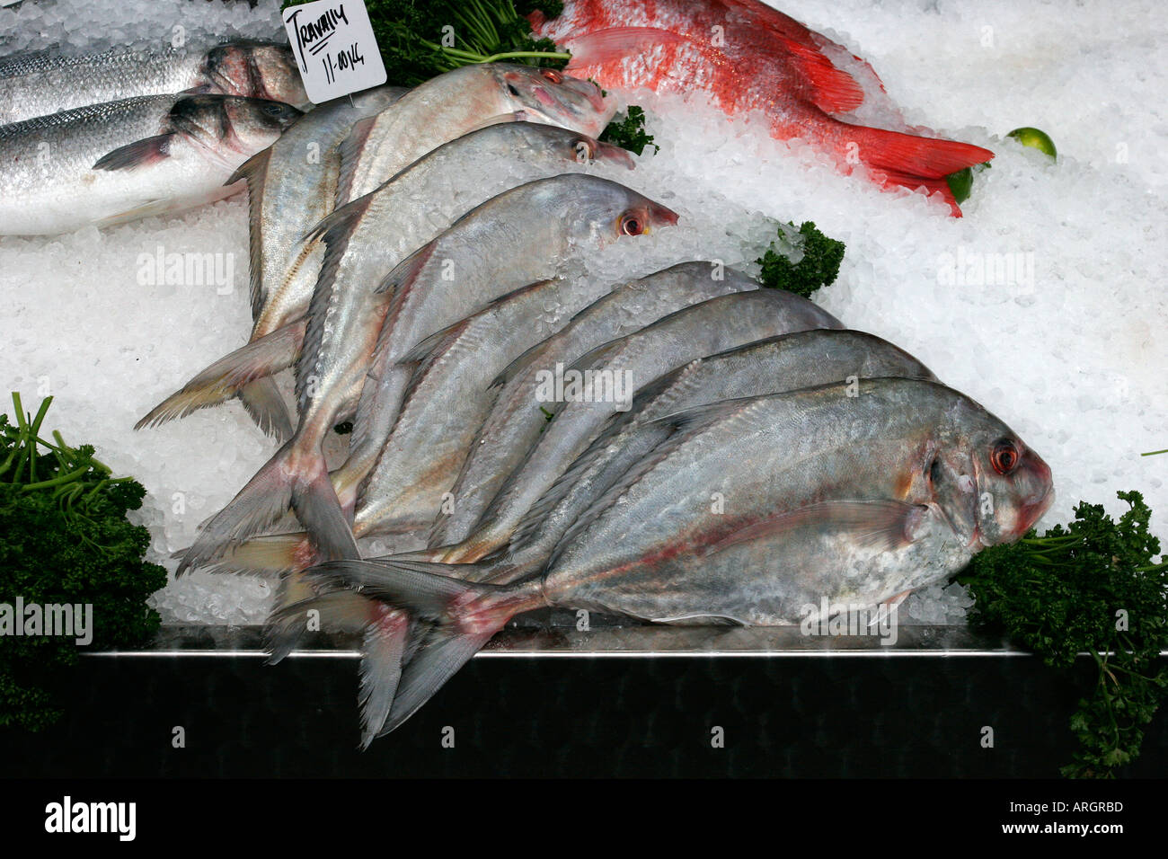 Fresh fish display at the fishmongers stall Borough market London ...