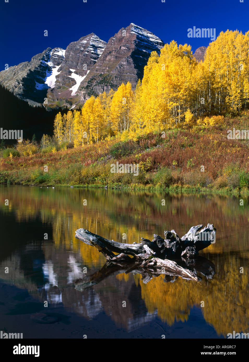 Maroon Bells in Fall color Apen Colorado USA Stock Photo - Alamy