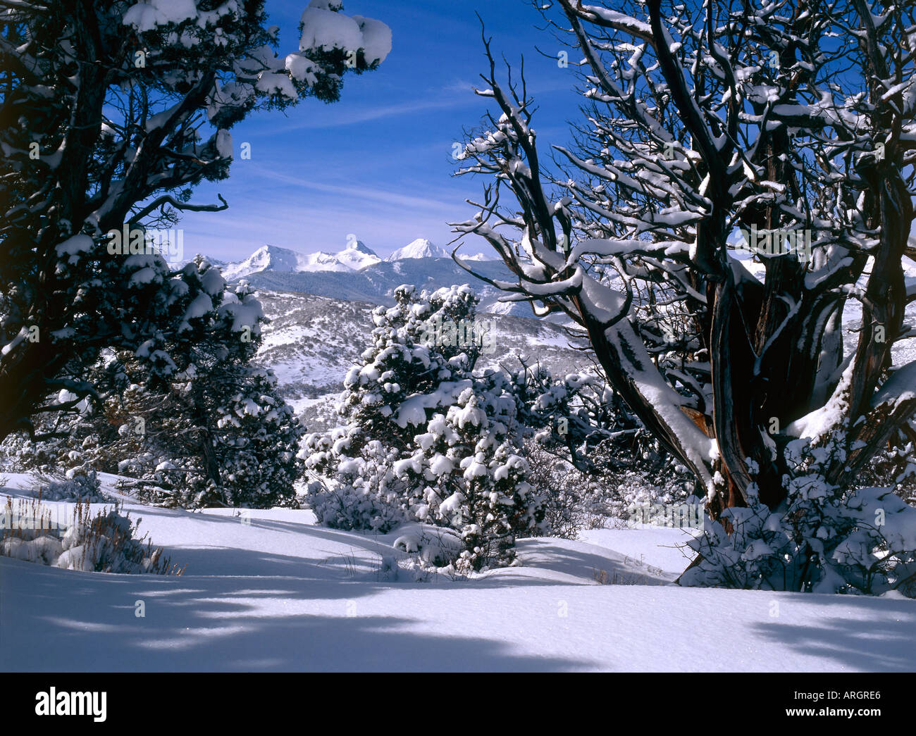 Postcard of colorado hi-res stock photography and images - Alamy