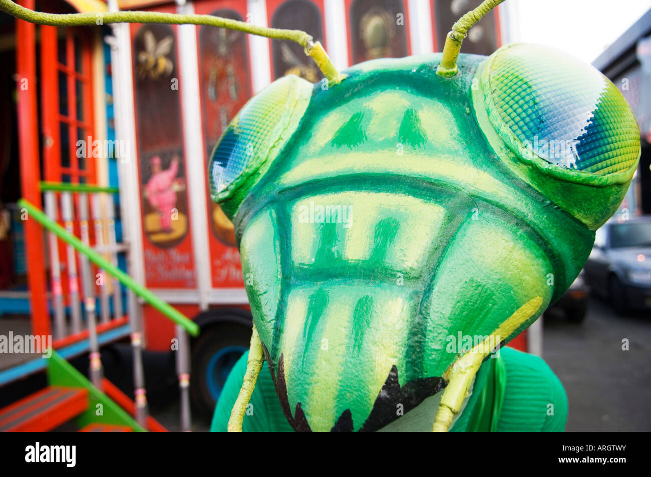 The insect traveling circus and musem Stock Photo - Alamy