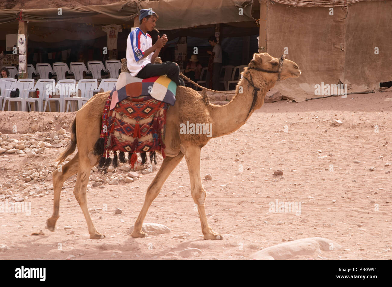 Camel bedouine hi-res stock photography and images - Alamy
