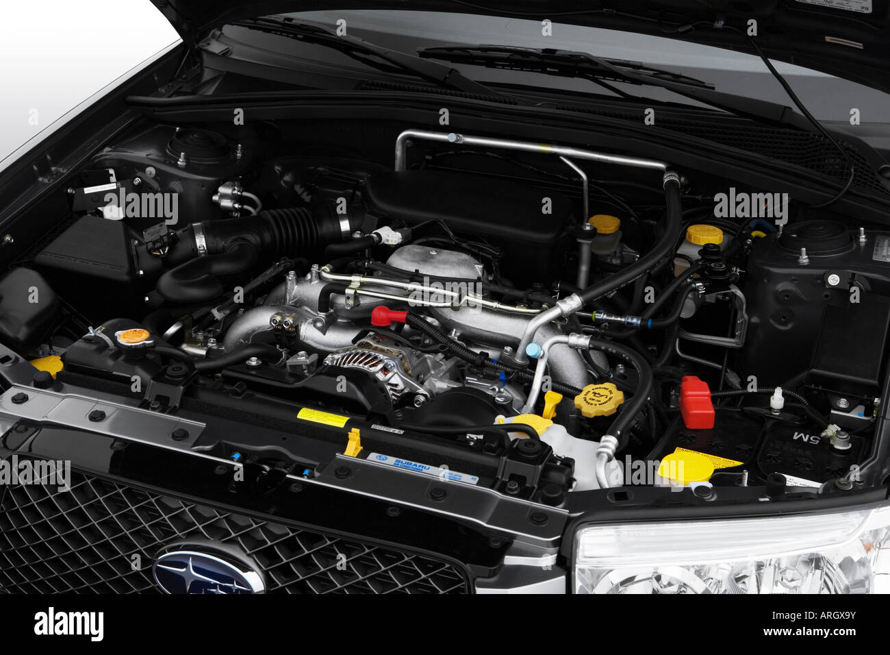 104254 0050 hi-res stock photography and images - Alamy