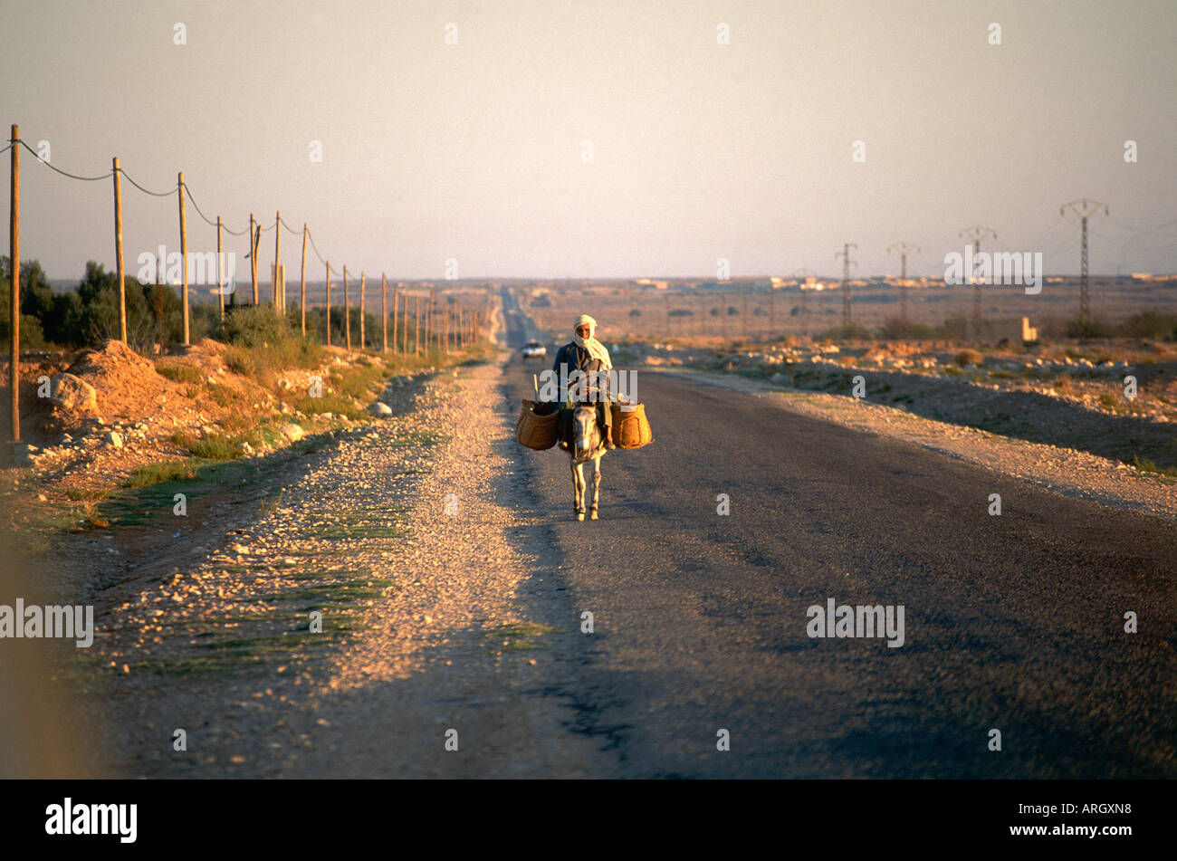 A local man mounted on a donkey laden with panniers travelling along ...