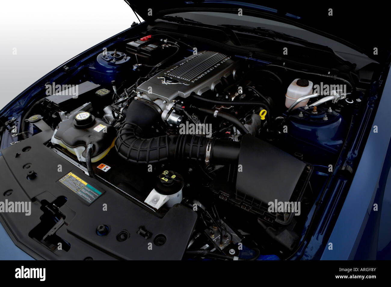2007 Ford Mustang Gt Enginenull