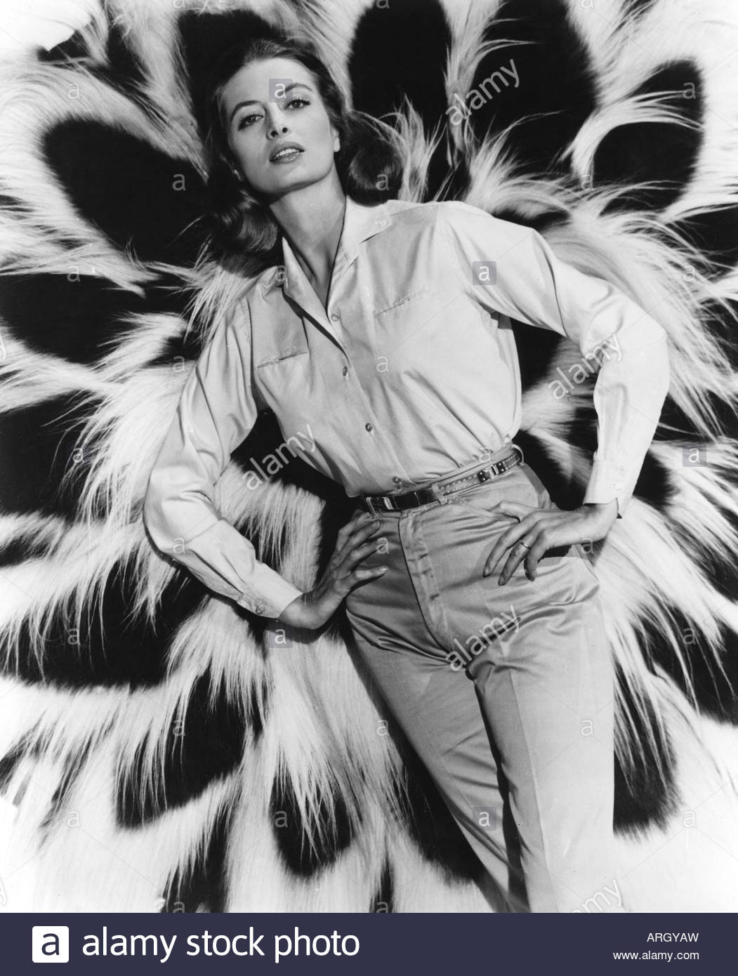 French Actress Capucine Stock Photos & French Actress Capucine Stock ...