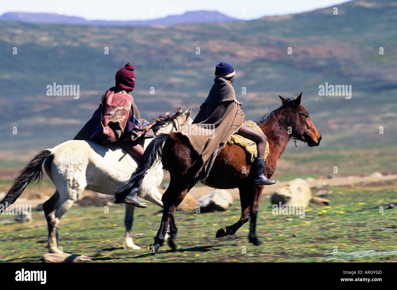 Two BaSotho people dressed in the distinctive thick blankets worn toga ...