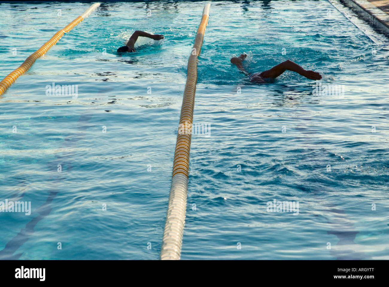Swimmers racing in swimming pool Stock Photo - Alamy