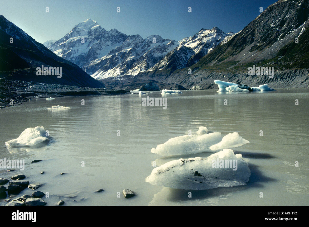 Large chunks of ice lying amongst the water of the terminal lake of the ...