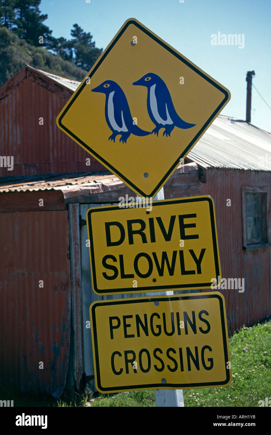 Penguin warning sign new zealand hi-res stock photography and images ...