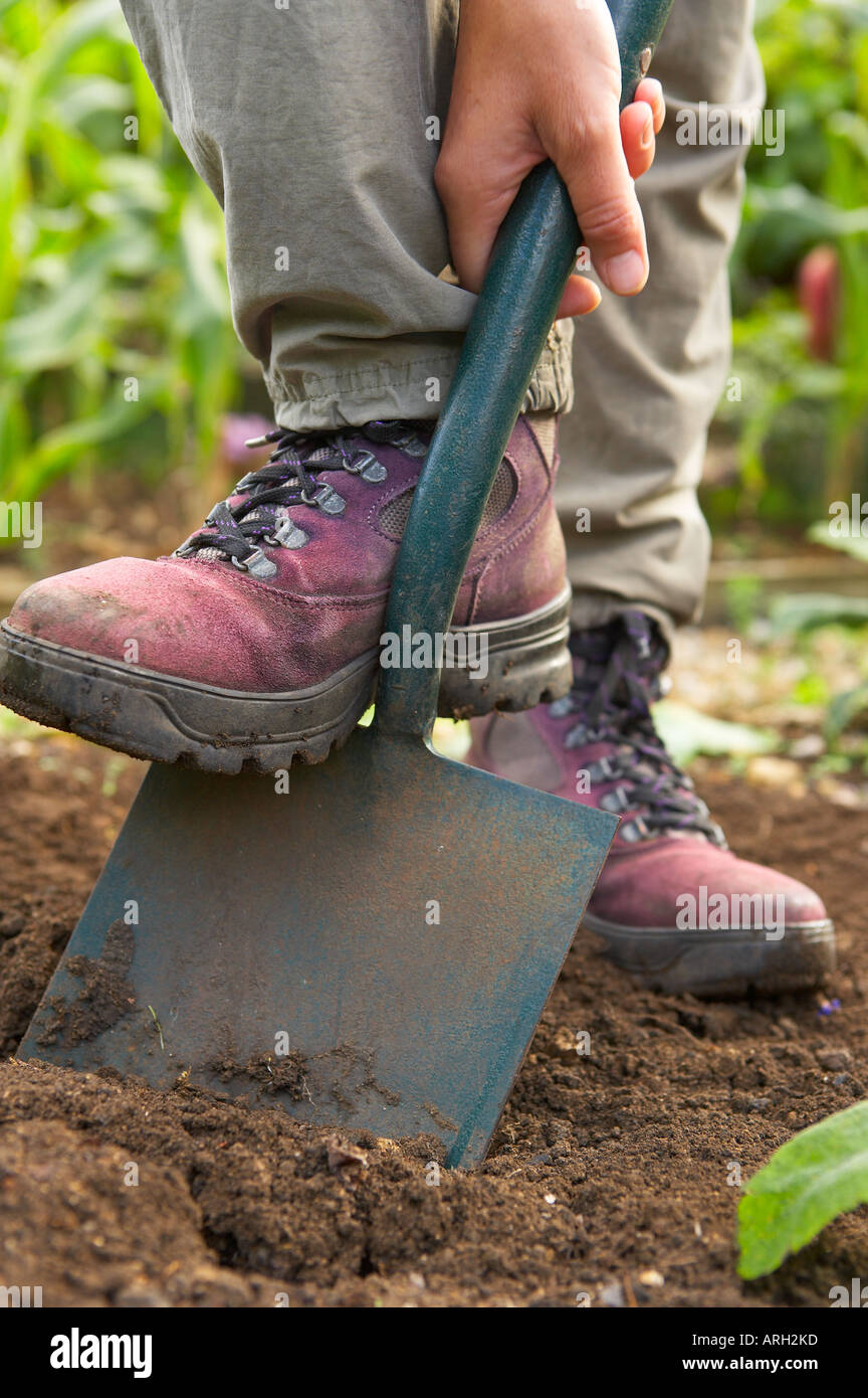 Digging with spade hi-res stock photography and images - Alamy