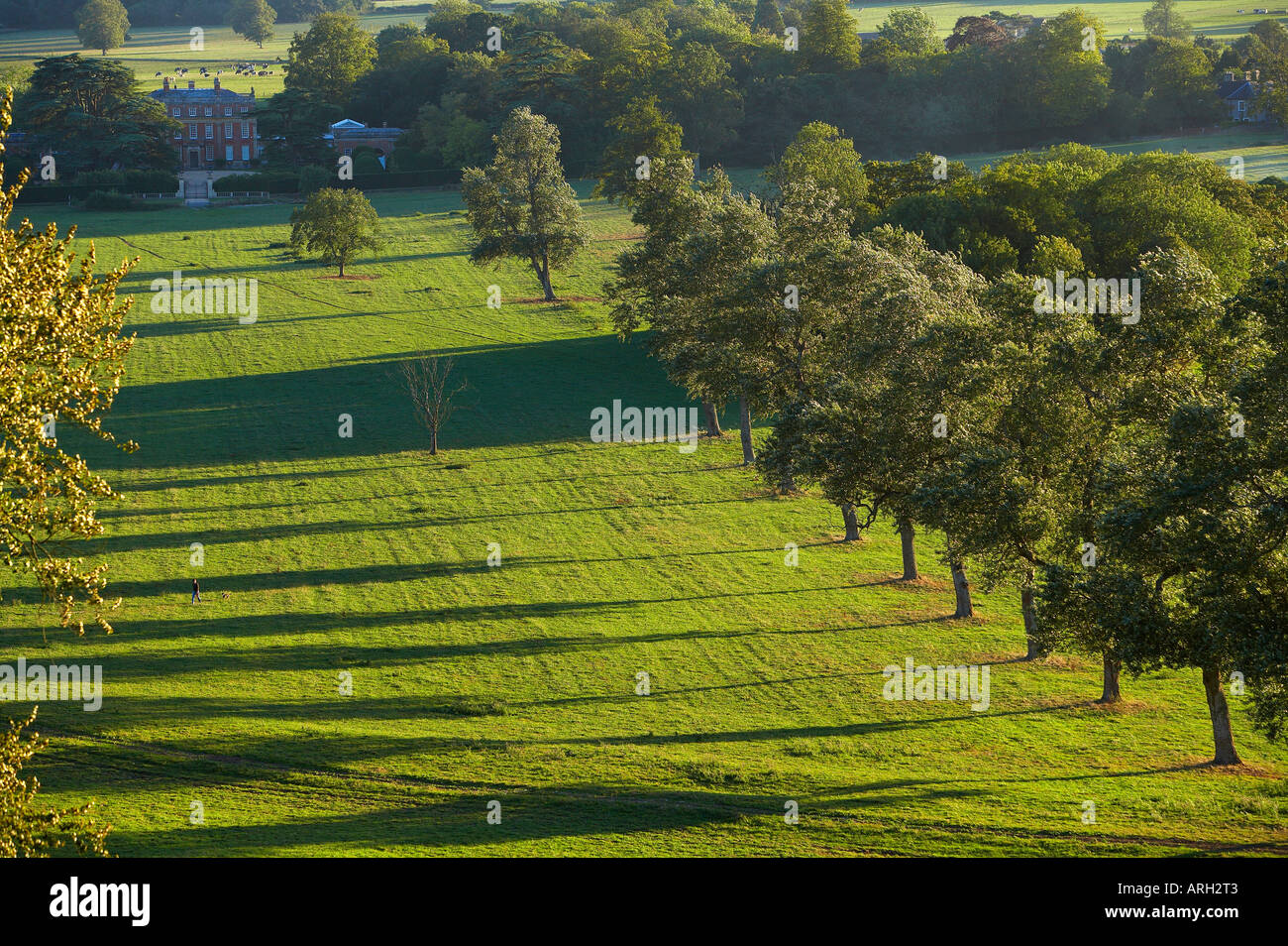 avenue of trees and Venn House Milborne Port nr Sherborne Dorset ...