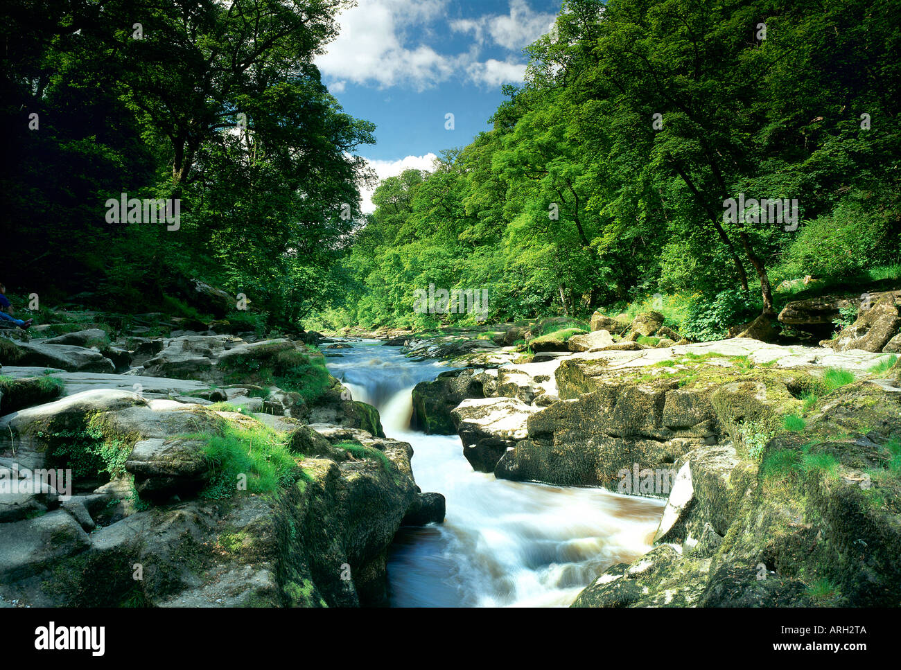 Strid river near bolton abbey hi-res stock photography and images - Alamy