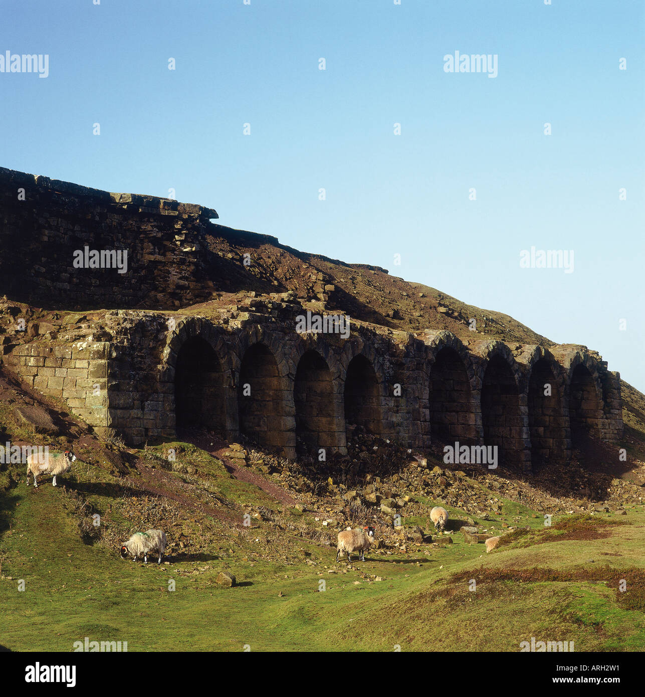 Sheep graze around remnants of the former ironstone mine chimney s ...