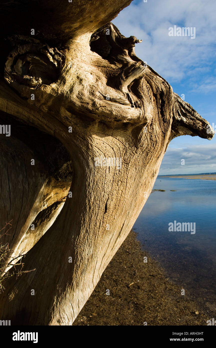 Lymington branch line hi-res stock photography and images - Alamy