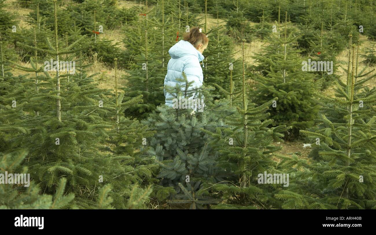 Woman christmas tree 50 hi-res stock photography and images - Alamy