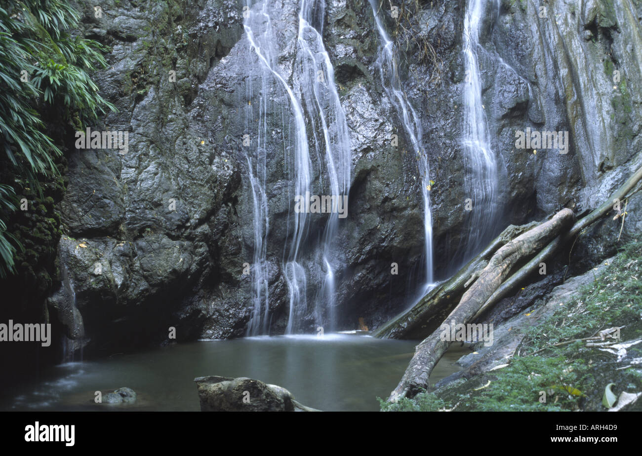 Tobago rainforest waterfall hi-res stock photography and images - Alamy