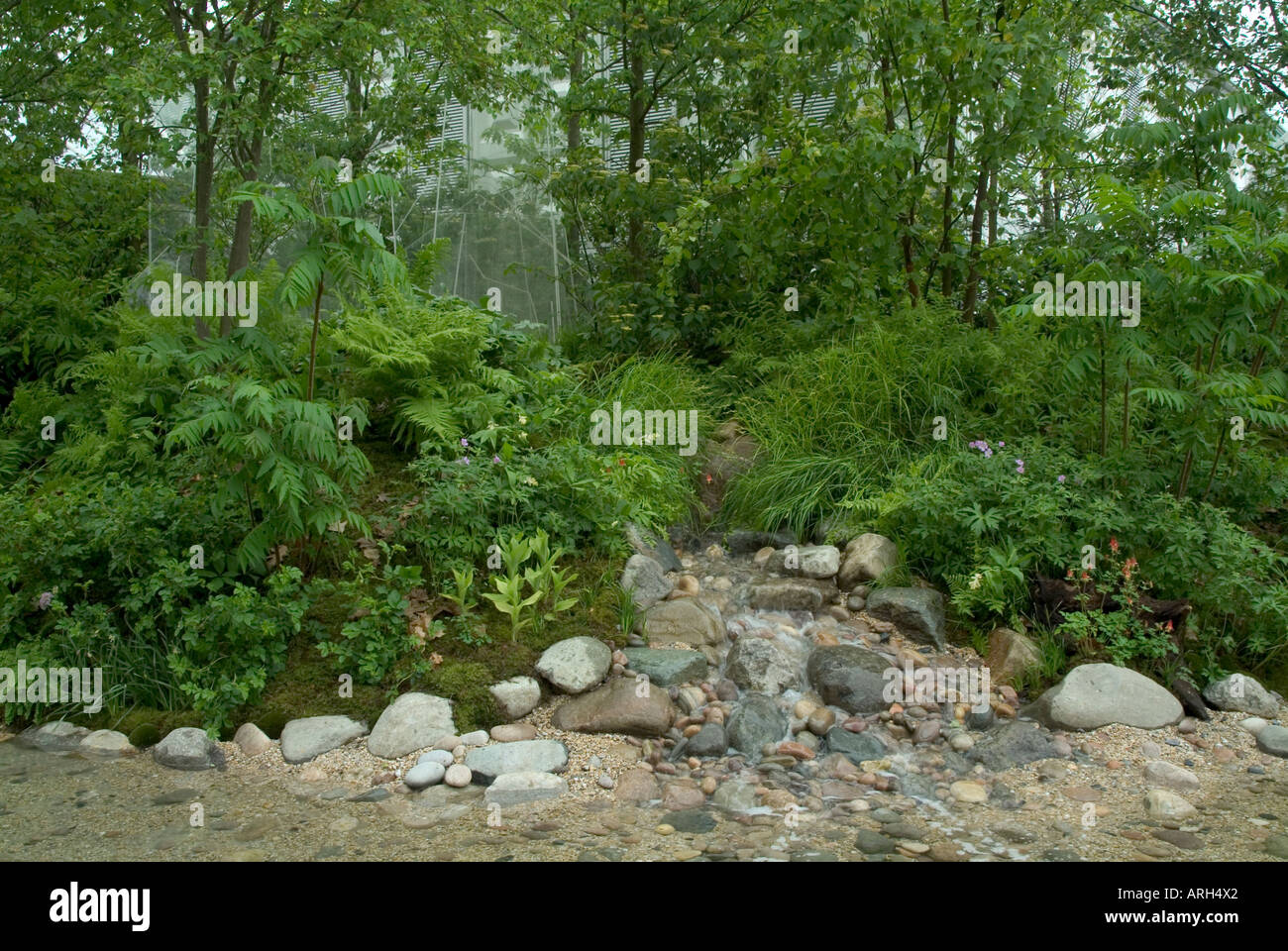 Ravine Garden Gift of the Glacier a garden at Chelsea Flower Show 2006 ...