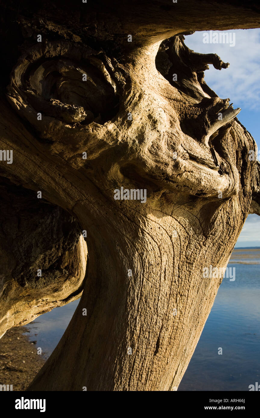 Lymington Branch Line High Resolution Stock Photography and Images - Alamy