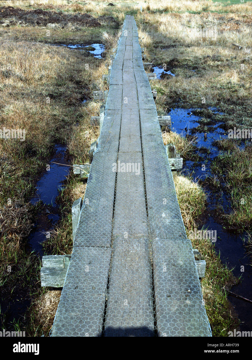 Path Through Bog Stock Photo - Alamy