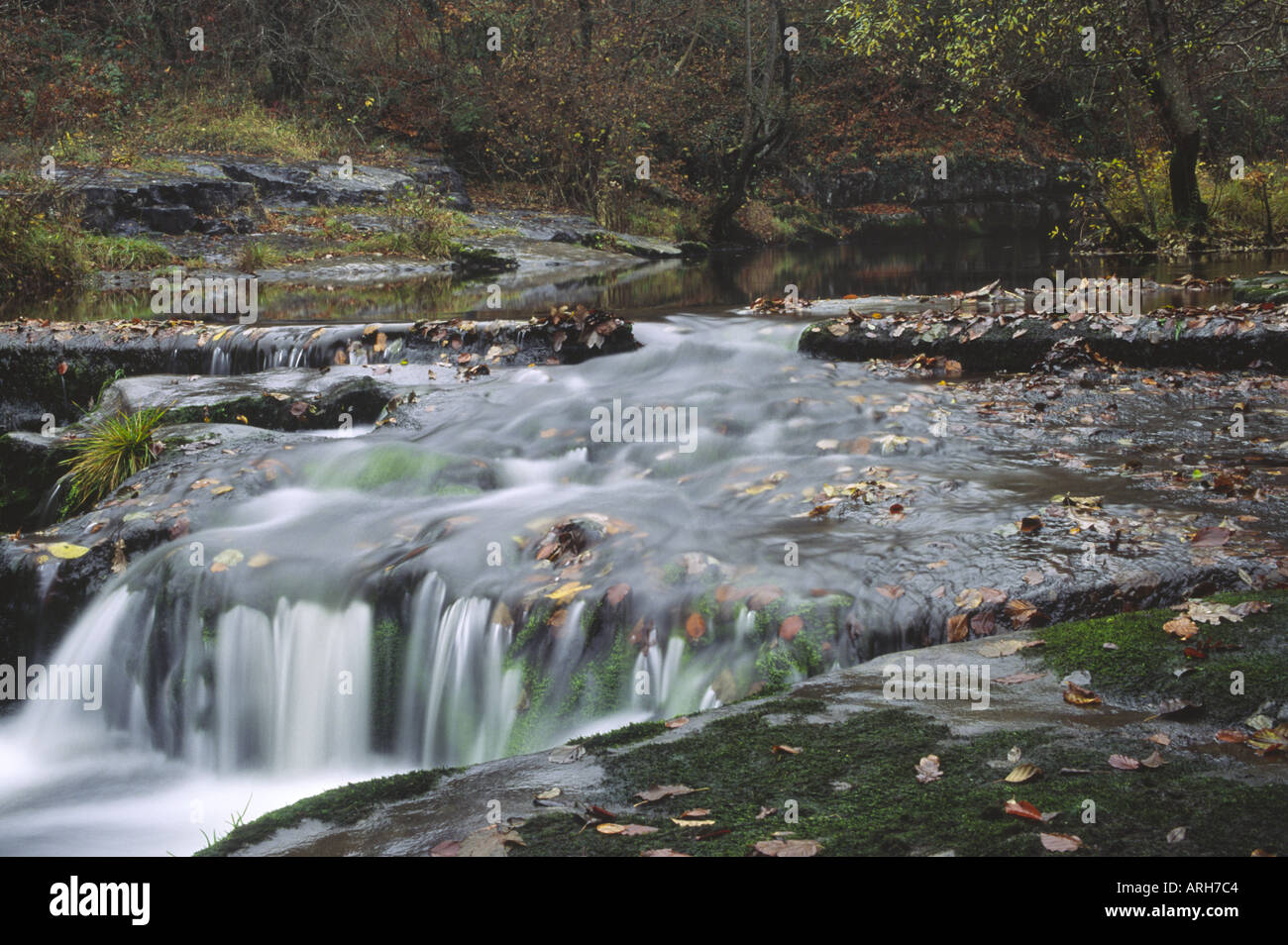 Taff fechan nature reserve hi-res stock photography and images - Alamy