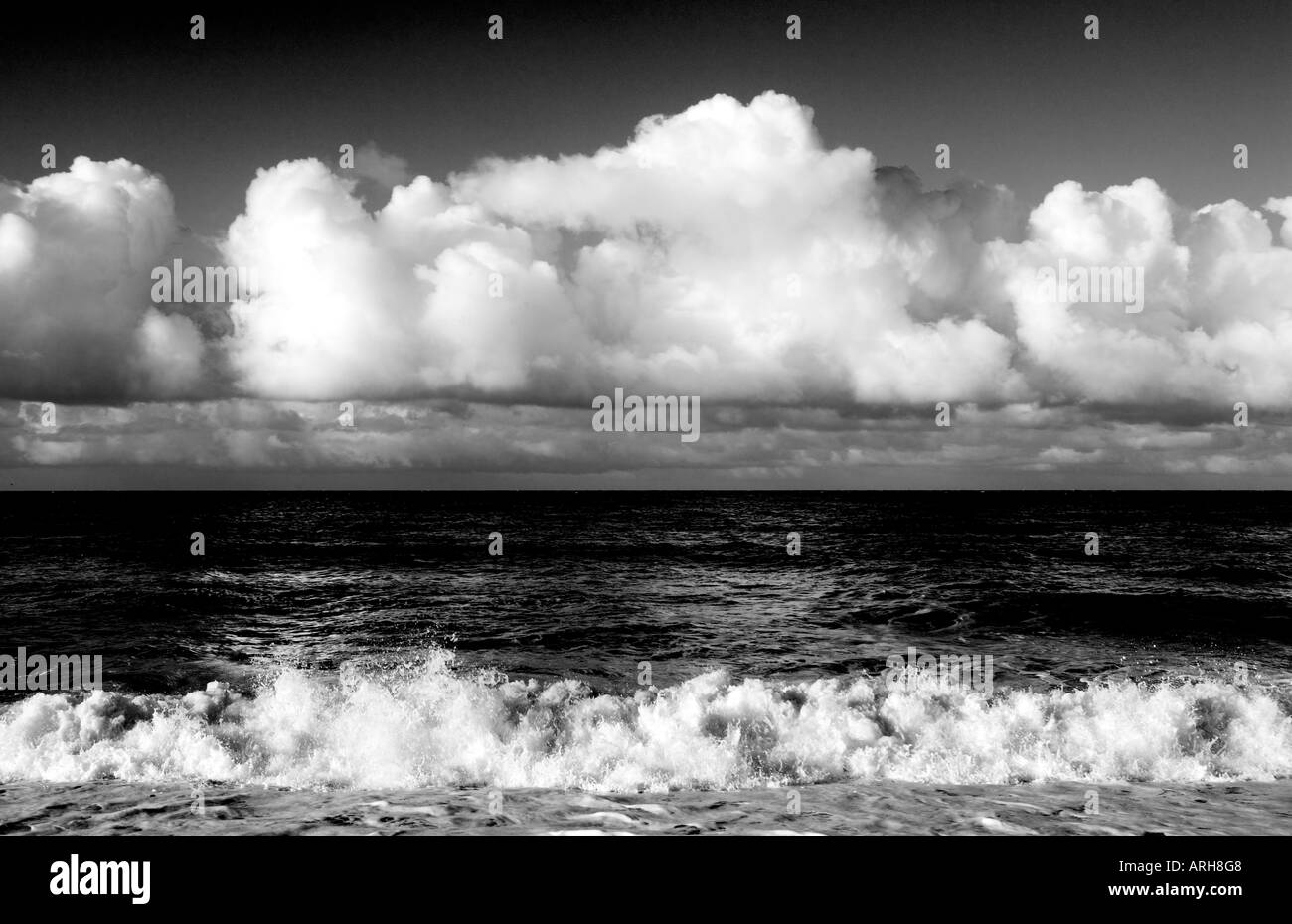 Name common Black and White Stock Photos & Images - Alamy