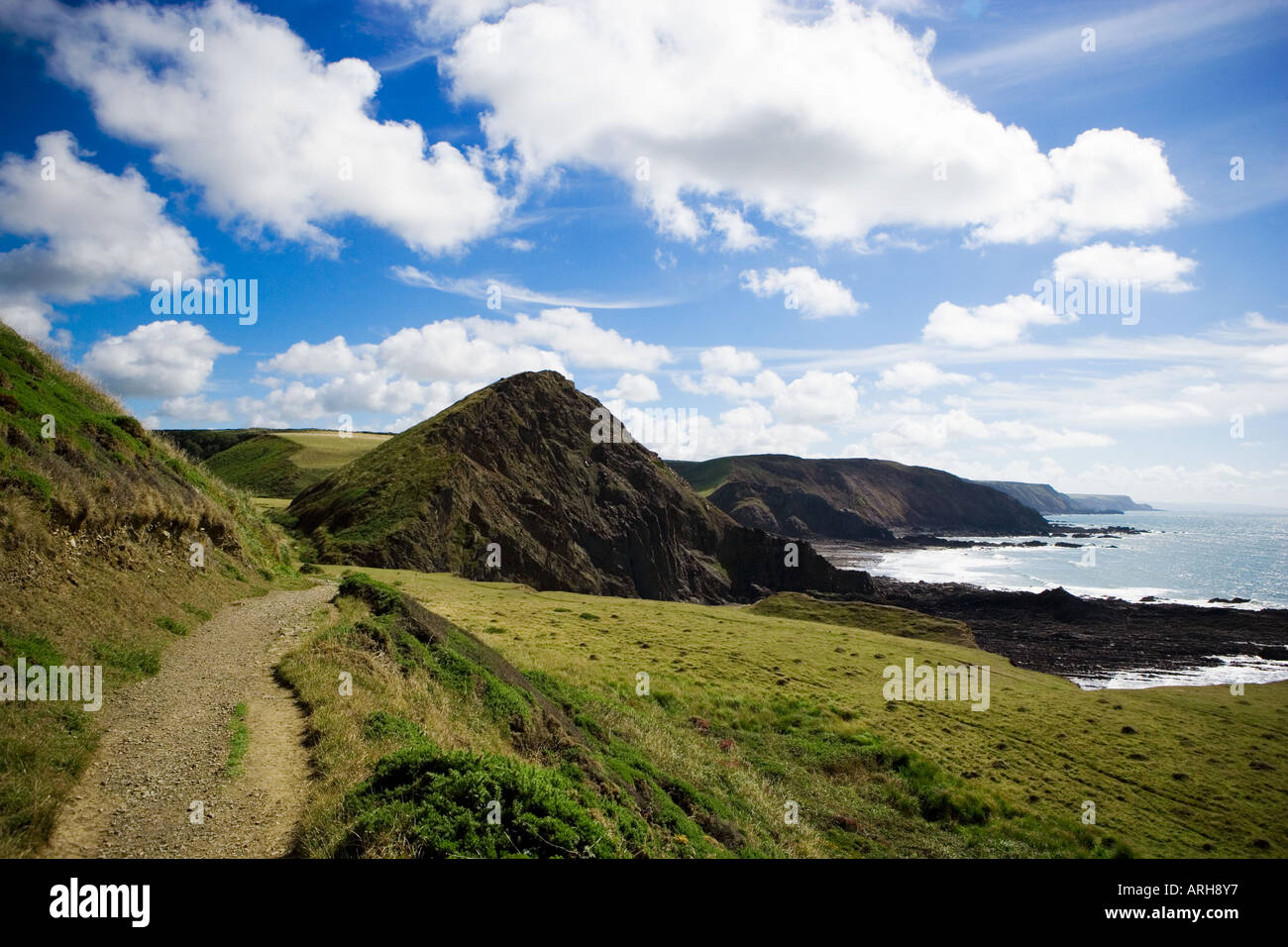 COMMON NAME: Landscape Stock Photo - Alamy