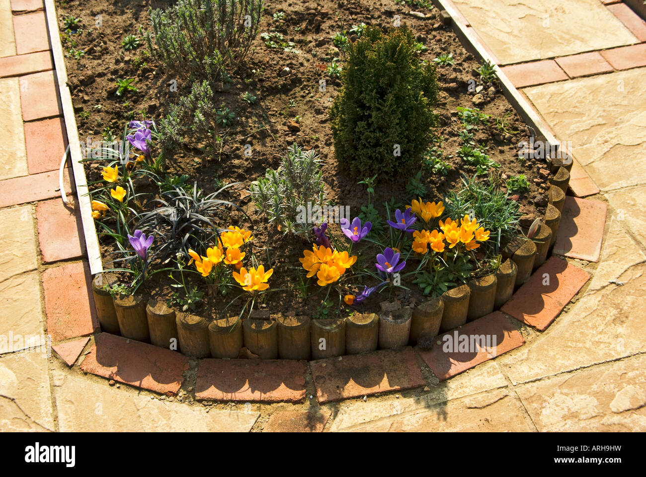 Neat narrow enclosed flower bed with brick and paving surround Stock ...