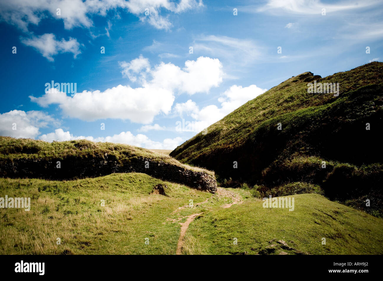 COMMON NAME: Landscape Stock Photo - Alamy