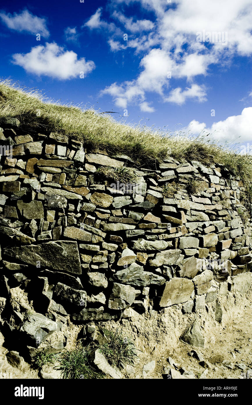 COMMON NAME: Landscape Stock Photo - Alamy