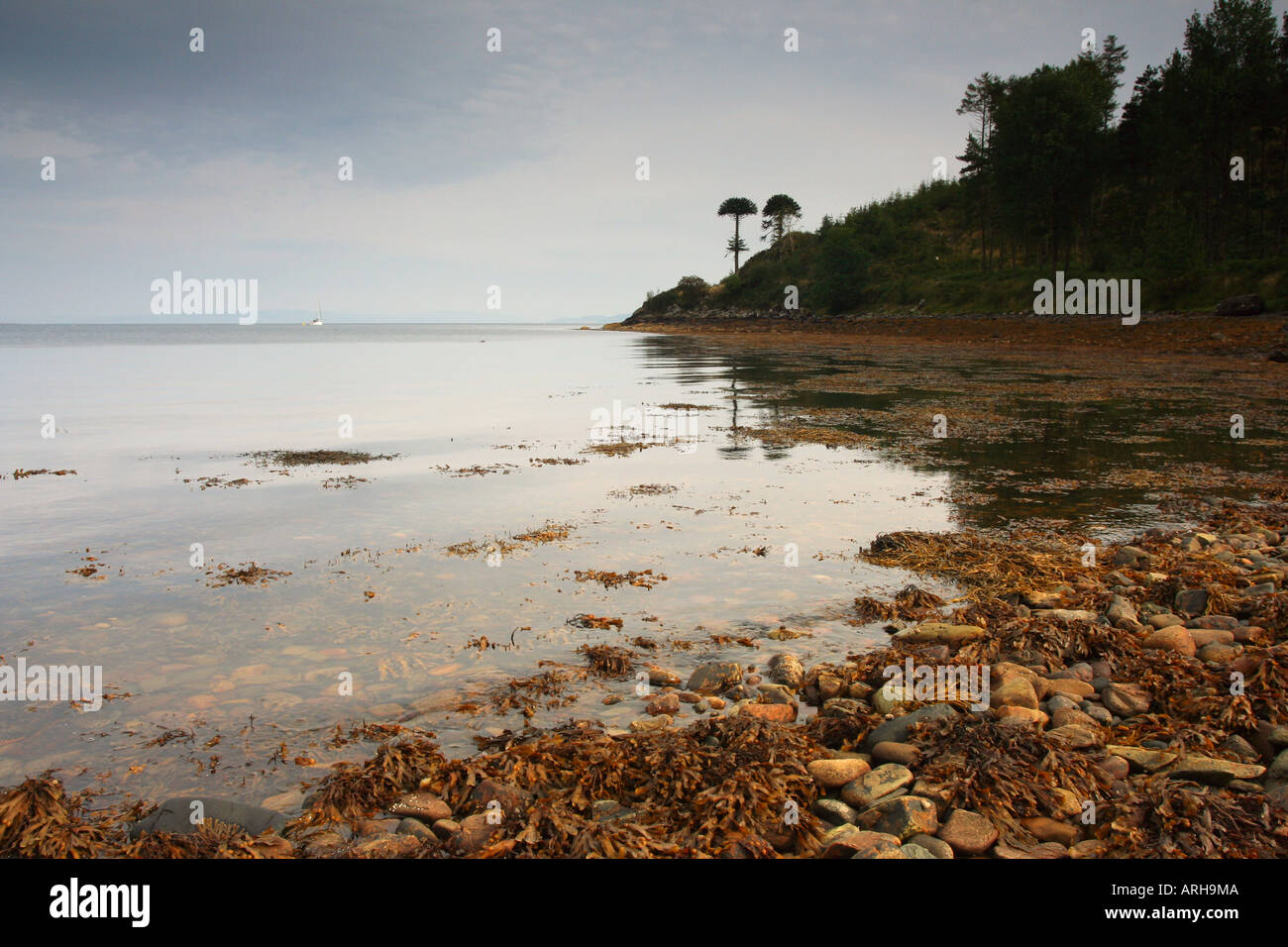 Barmore island kintyre coast hi-res stock photography and images - Alamy