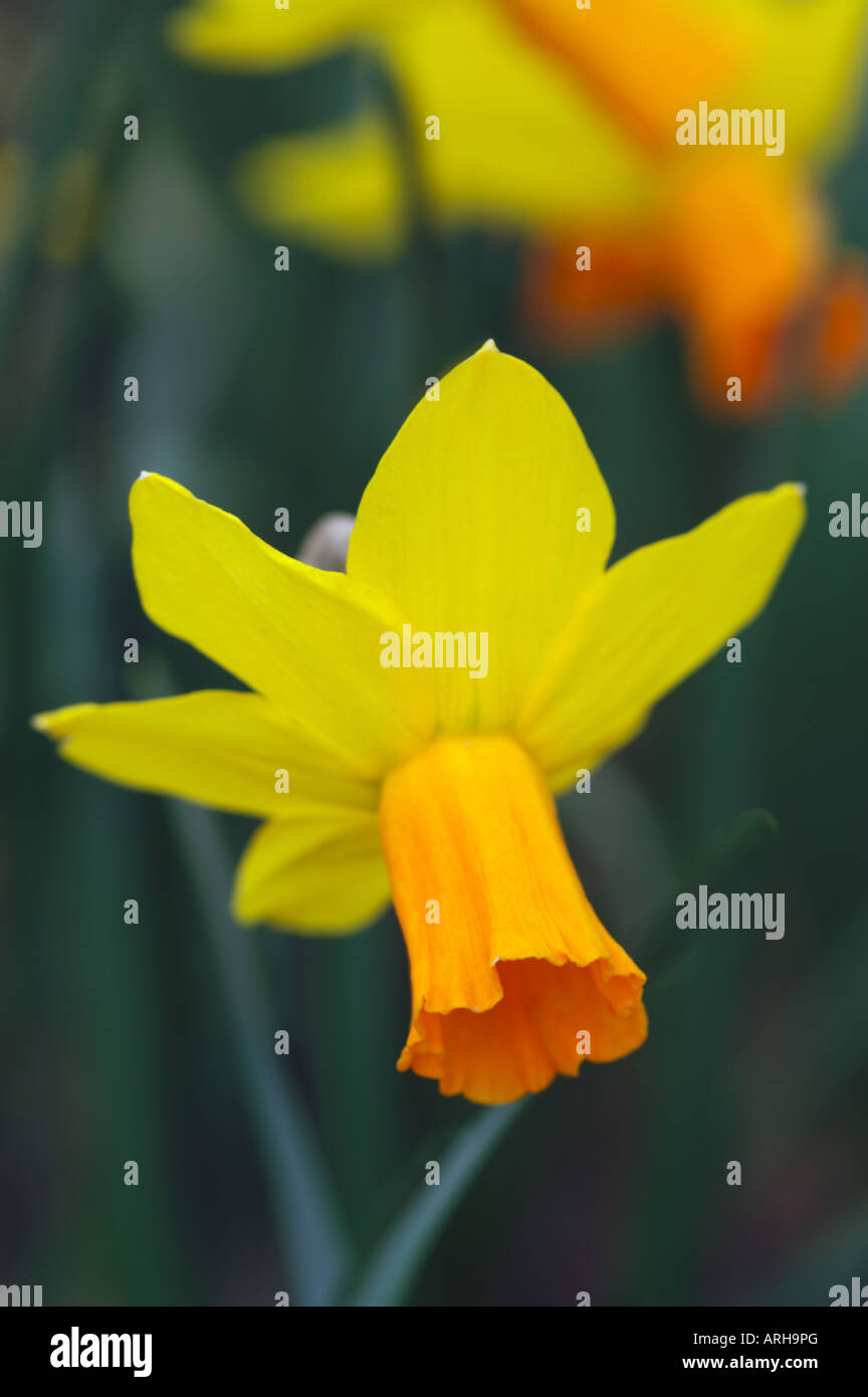 Jetfire hi-res stock photography and images - Alamy