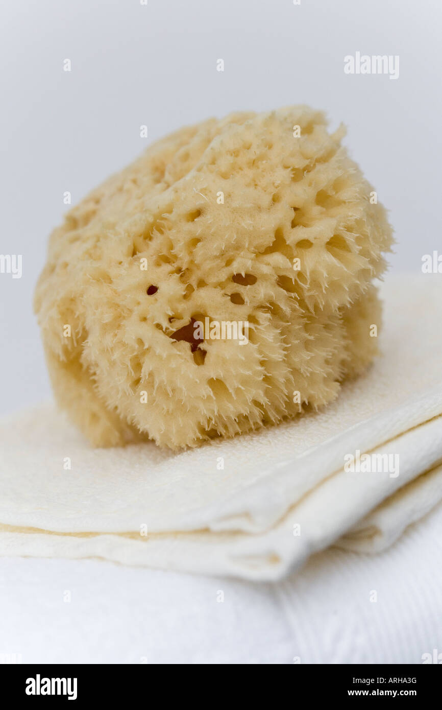 Natural sponge on an organic cotton flannel Stock Photo - Alamy