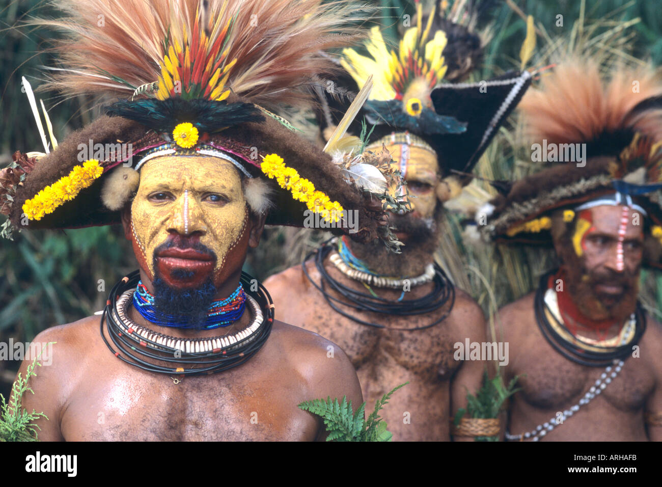 Colorful Huli Wigmen of Papua New Guinea Stock Photo - Alamy