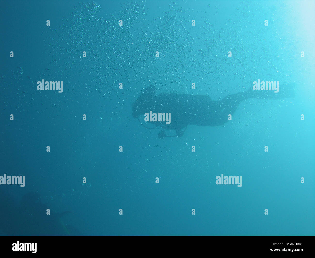 Underwater view of a scuba diver Moorea Tahiti French Polynesia South ...