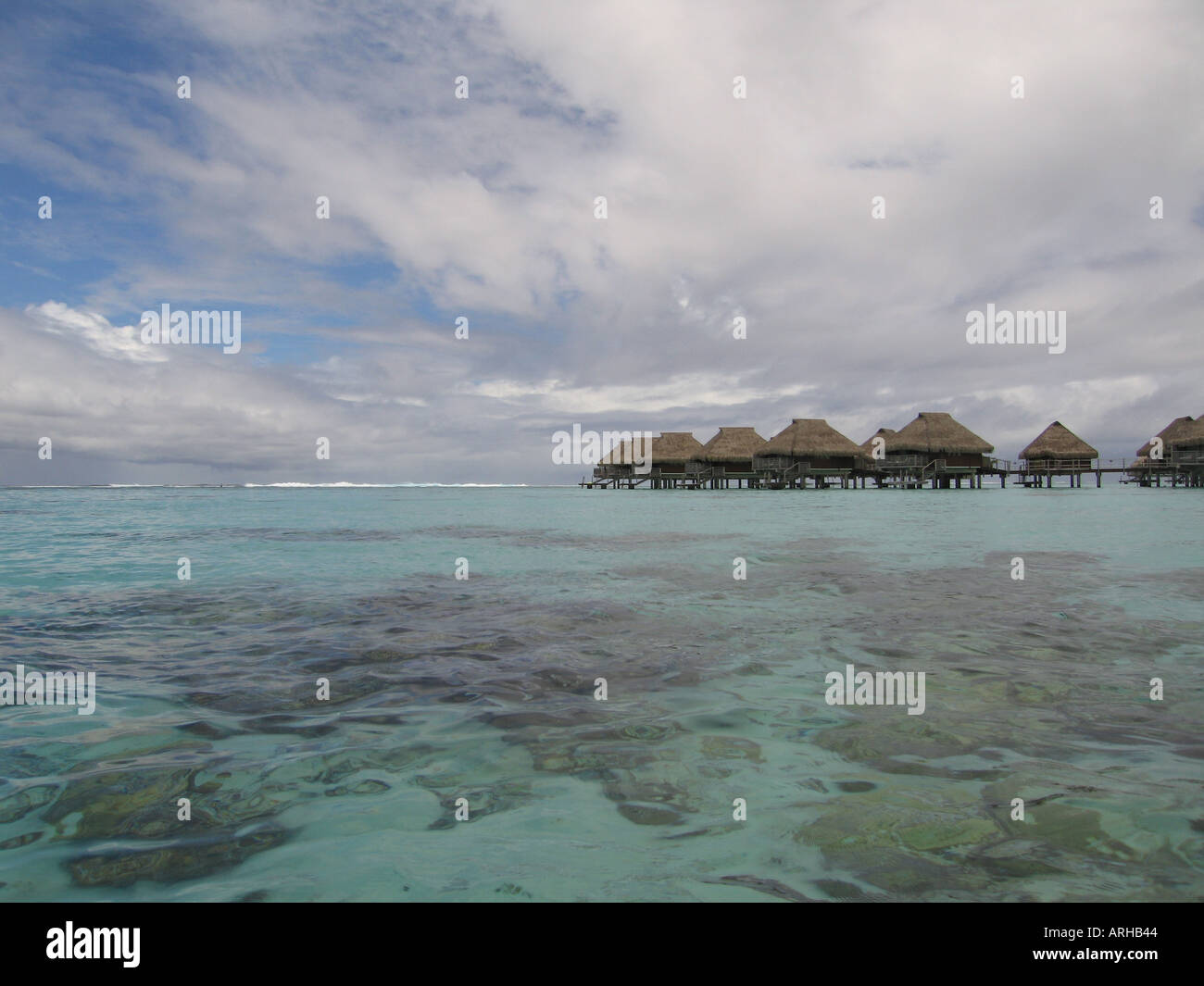 Corals under water seen clearly Moorea Tahiti French Polynesia South ...