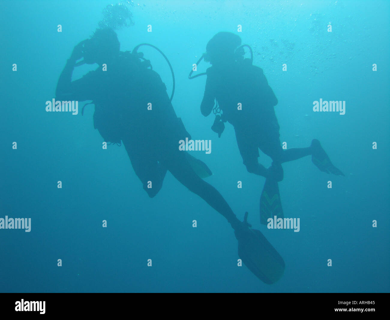 Underwater view of two scuba divers Moorea Tahiti French Polynesia ...