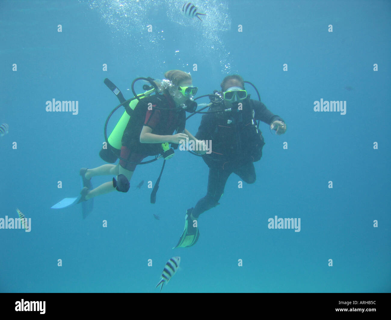 Underwater view of a young couple scuba diving Moorea Tahiti French ...