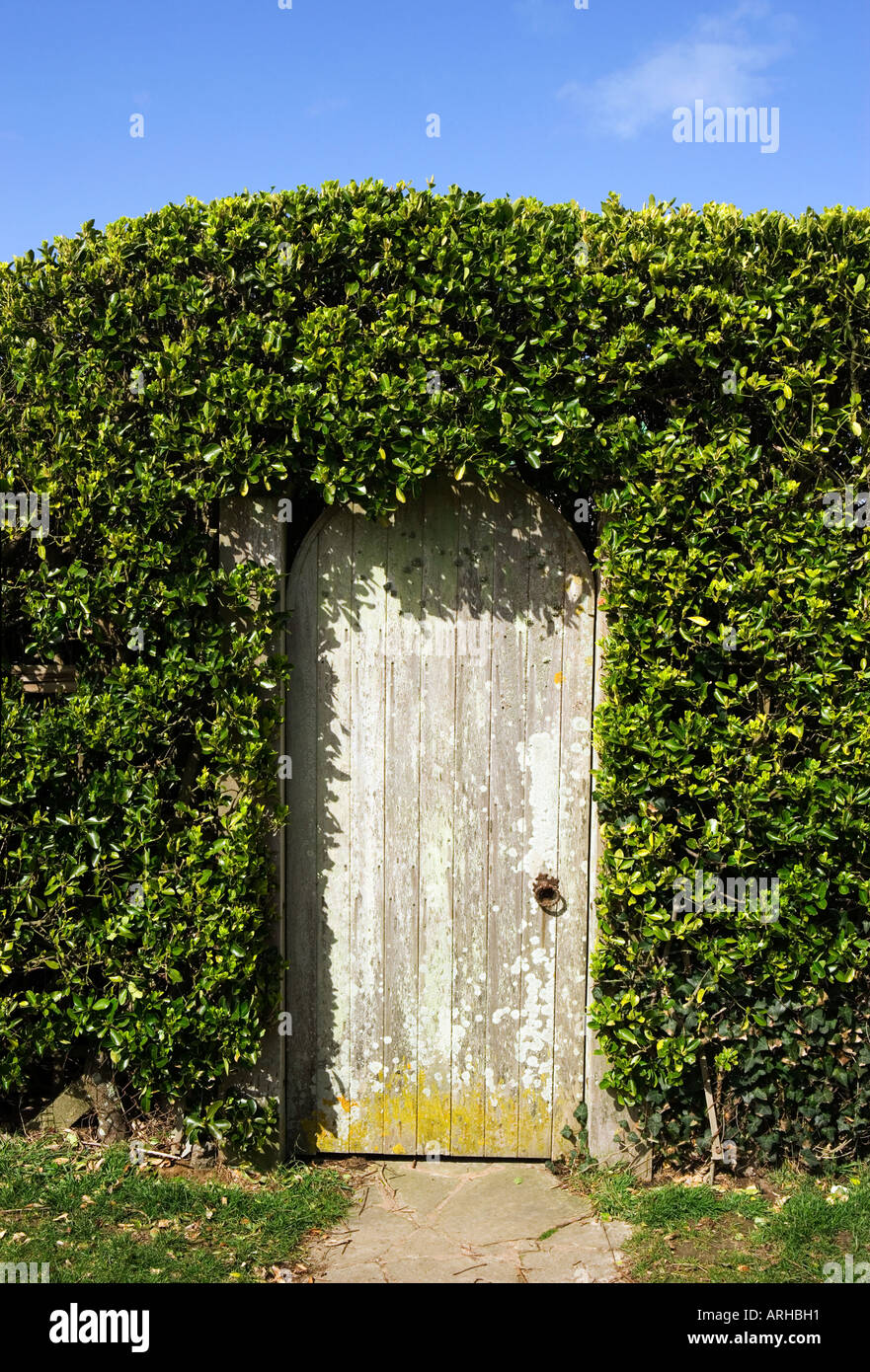 Clipped garden hedge hi-res stock photography and images - Alamy