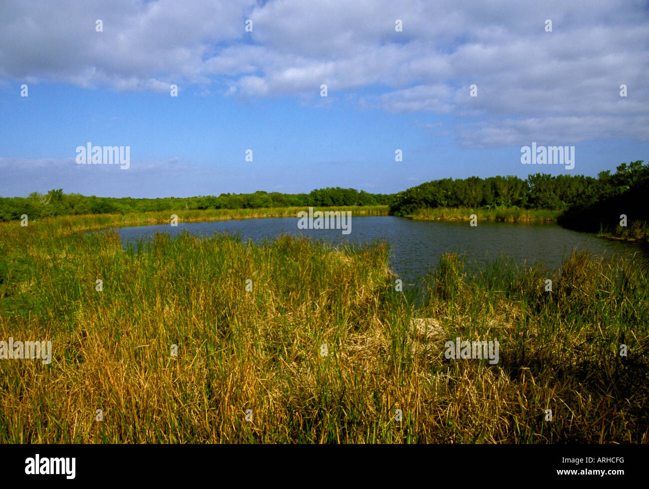 FL Florida Everglades National Park Eco Pond near Flamingo Lodge swampy ...