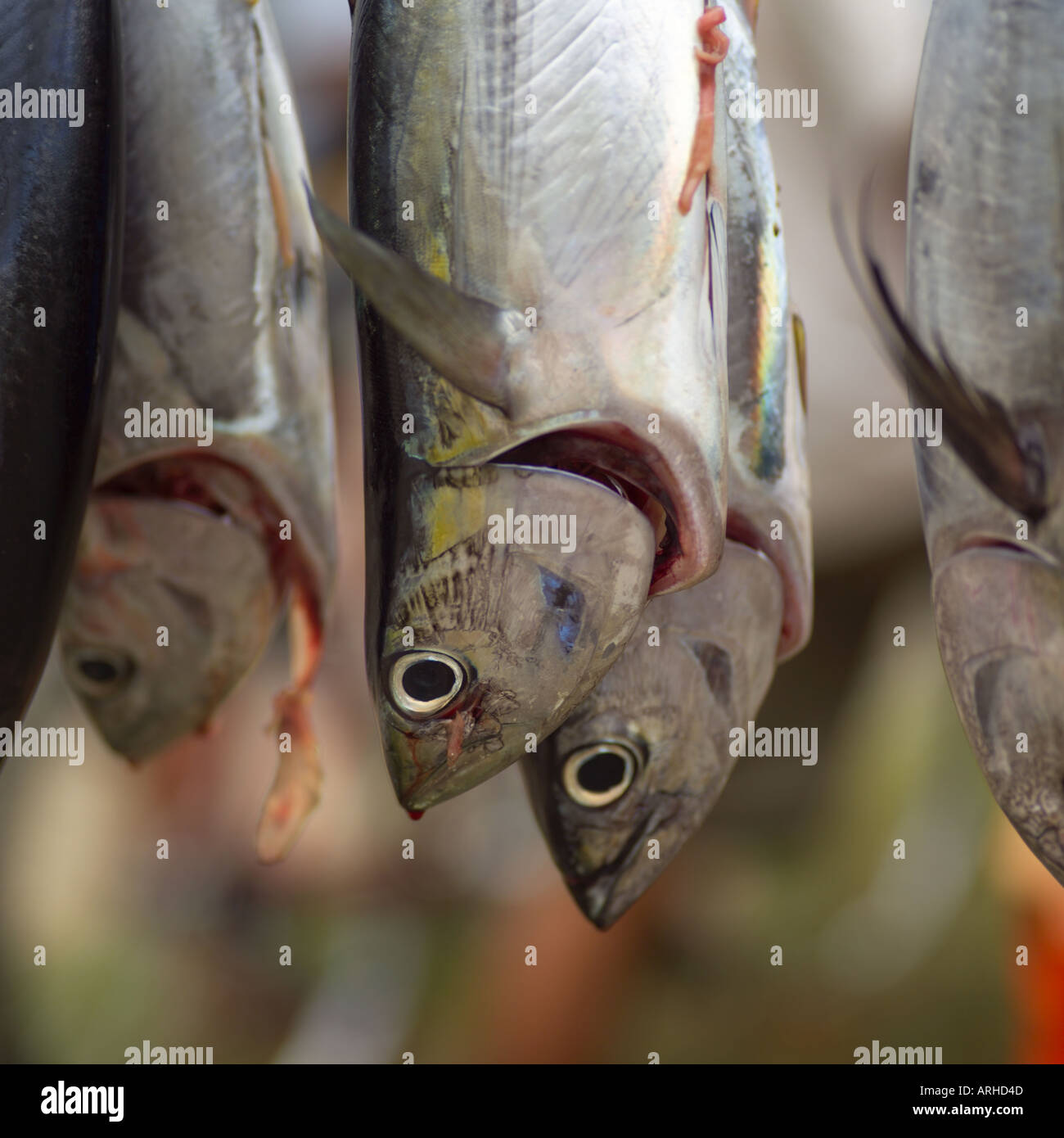 Keith gill hi-res stock photography and images - Alamy