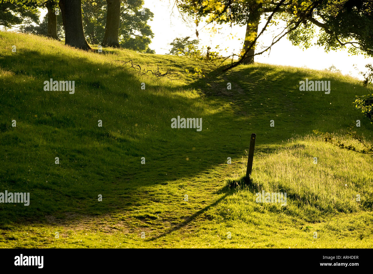 Path over grass and through trees Stock Photo - Alamy