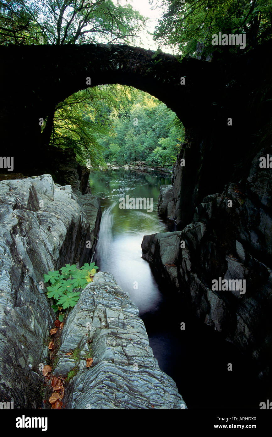 Hermitage bridge hi-res stock photography and images - Alamy