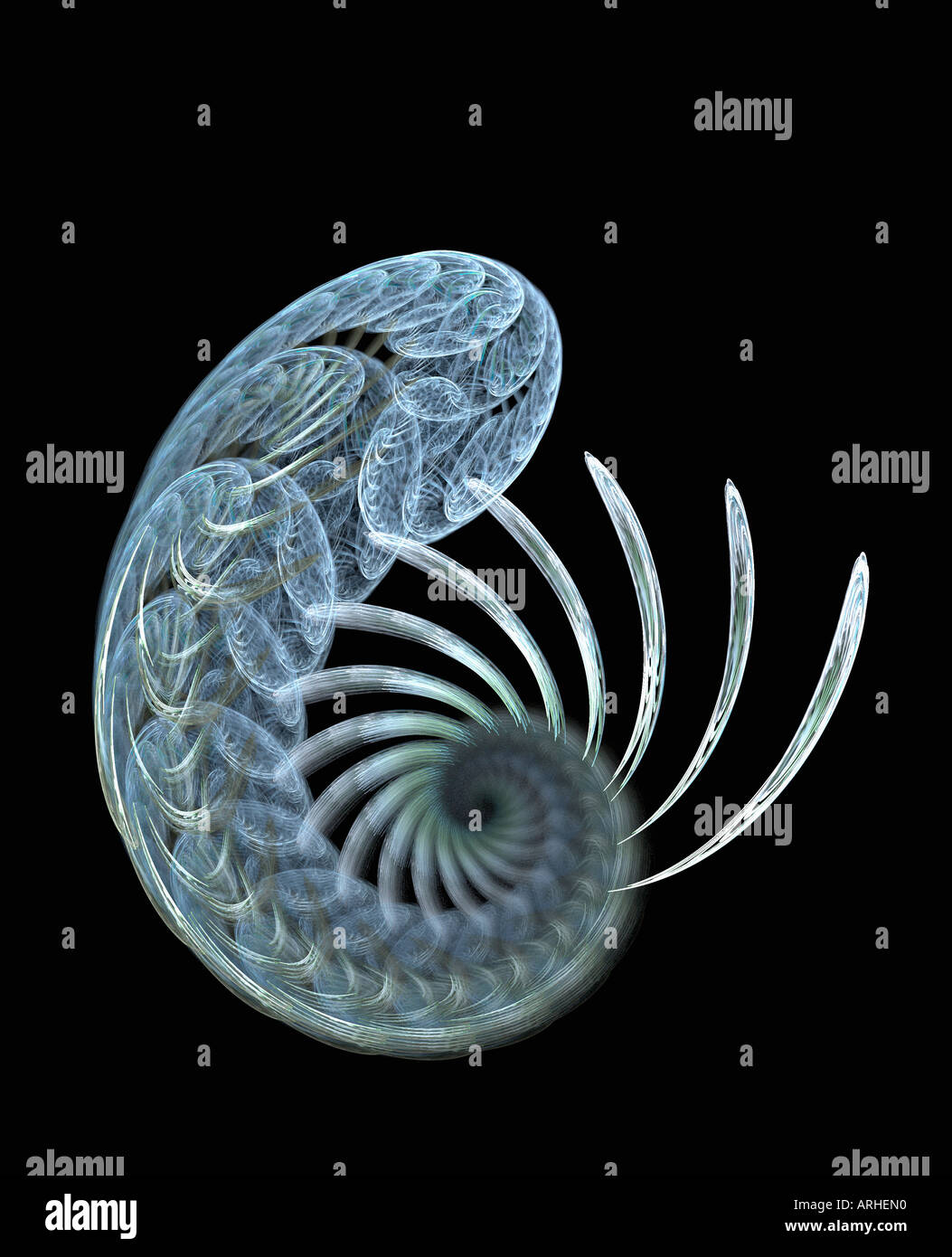 Anamorph hi-res stock photography and images - Alamy