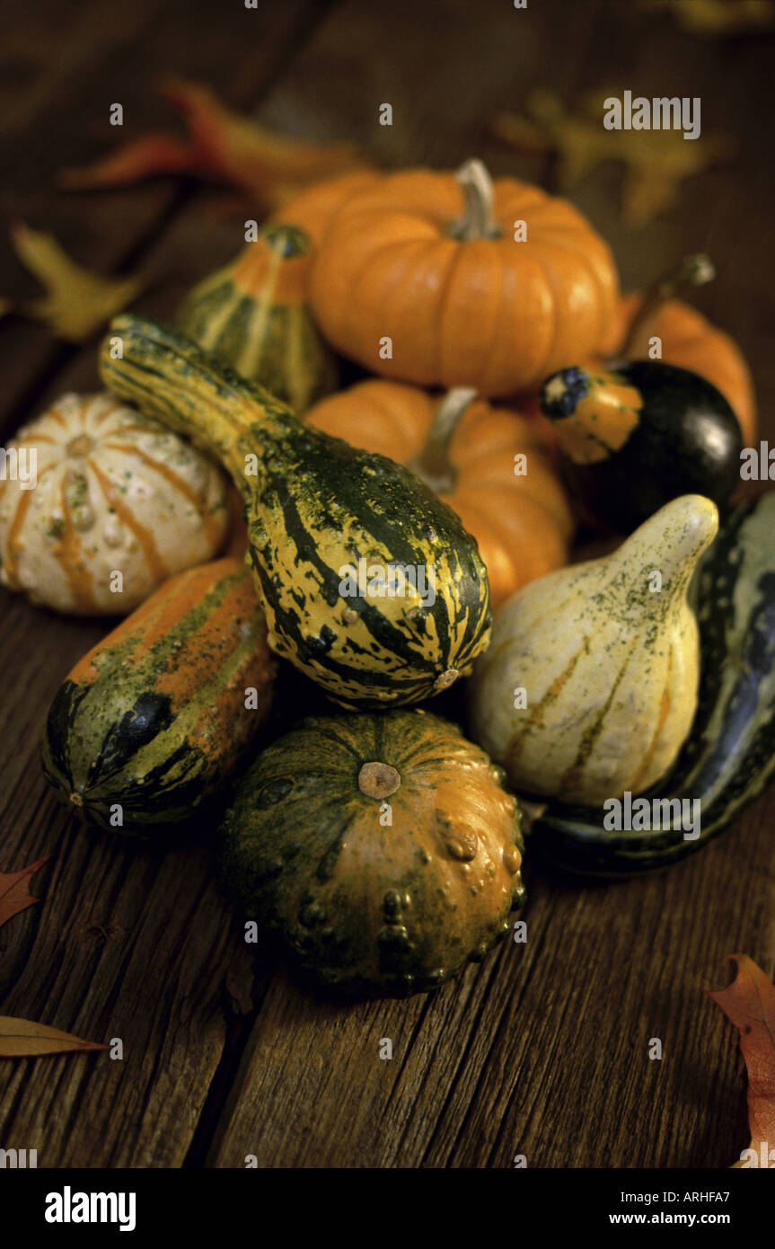 Stems gathered hi-res stock photography and images - Alamy