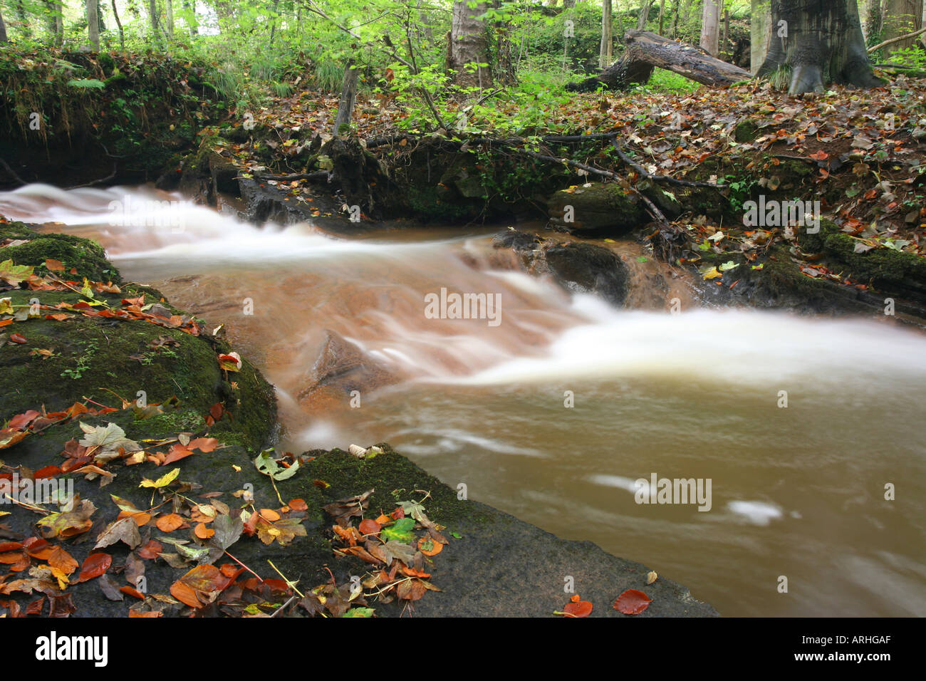 Classic autumn scene Stock Photo - Alamy