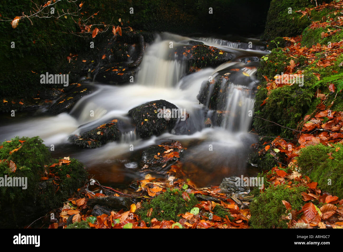 Classic autumn scene Stock Photo - Alamy