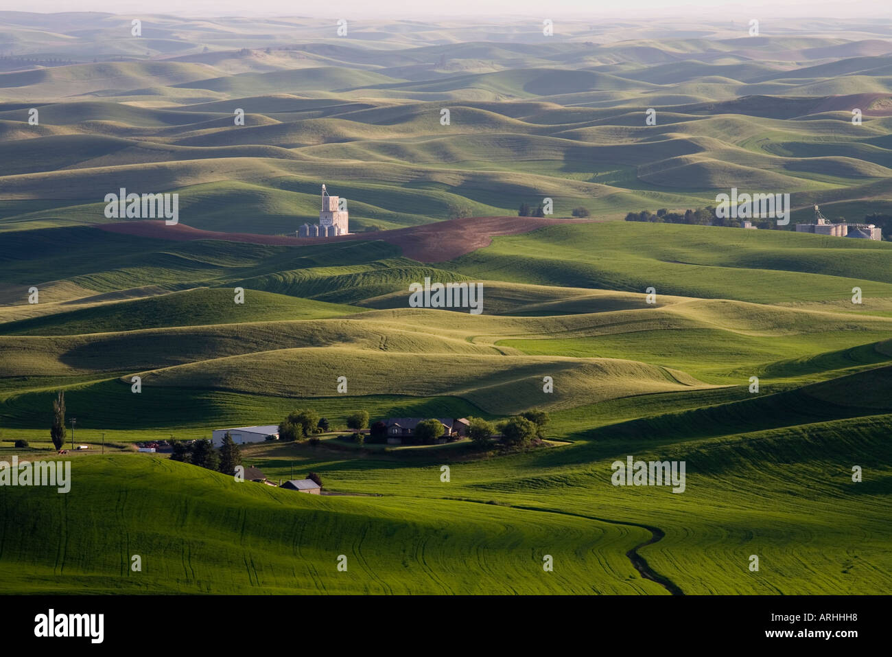 Southern Washington State, USA, farmland in spring, Steptoe Butte State ...