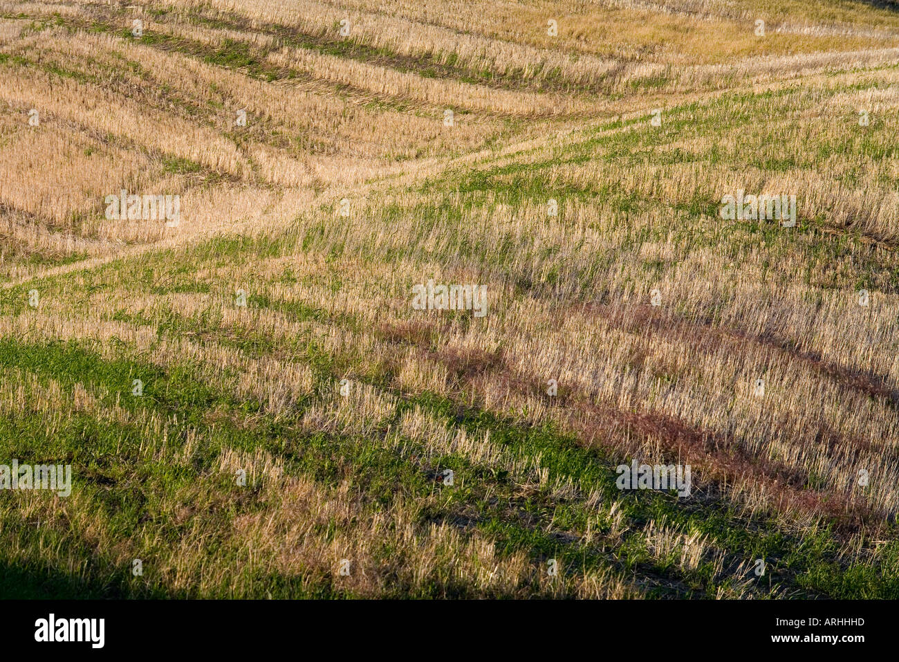 Southern Washington State, USA, farmland in spring, Steptoe Butte State ...